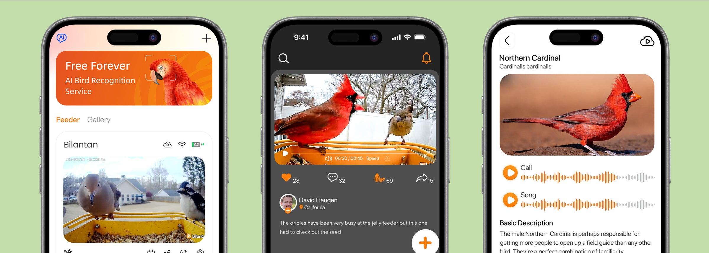 Smart Bird Feeder Camera| AI Bird Identification & Stunning Bird Photo